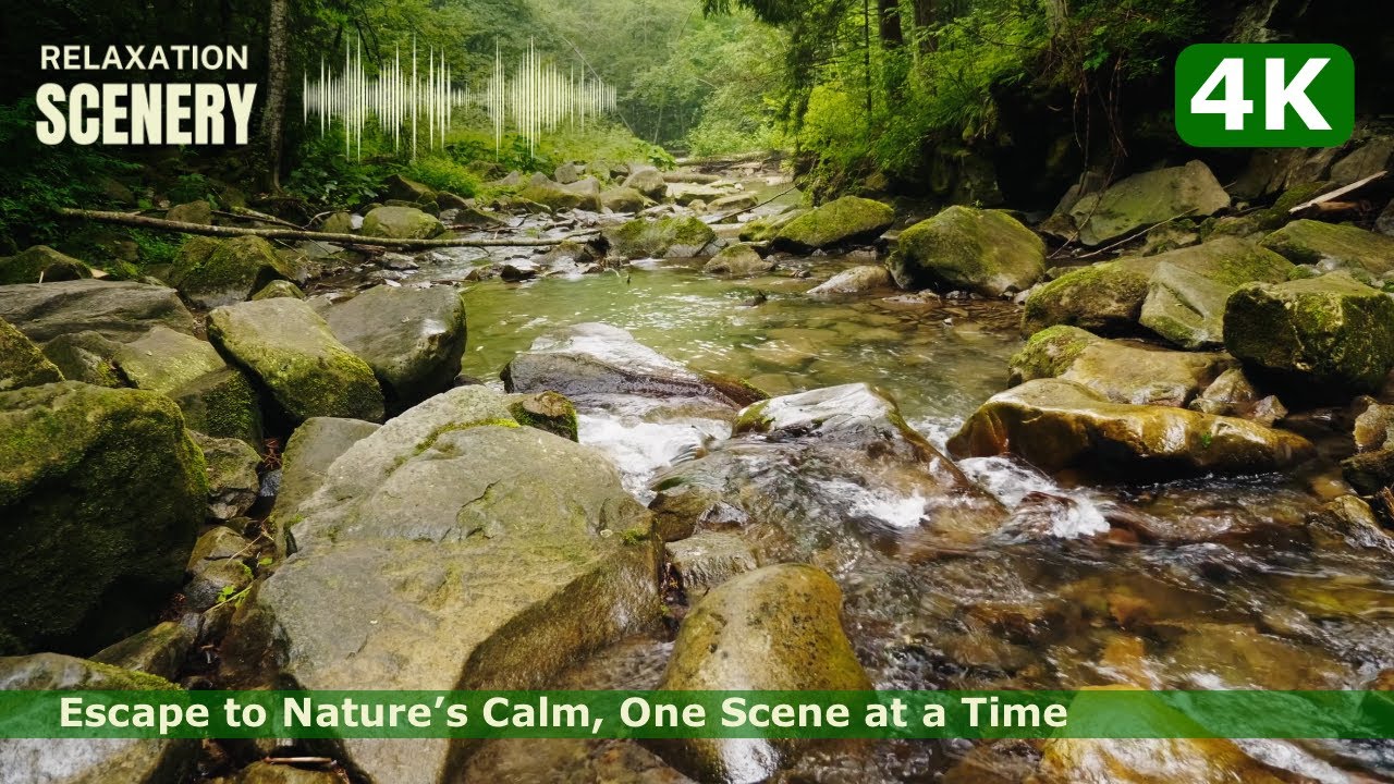 🍀 4K Relaxation Scenery: Breathtaking Nature & Calming Sounds for ...