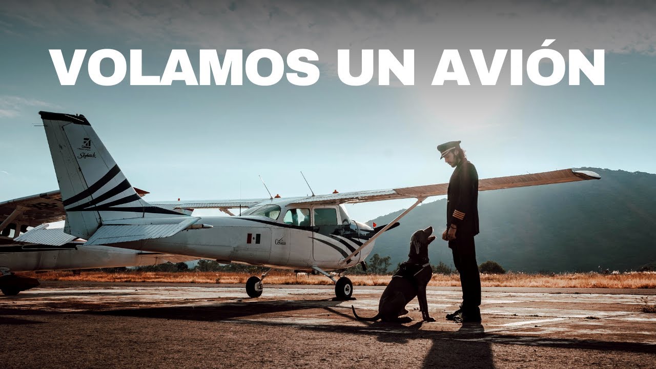 Pato y Tacho volando un avión / gravedad cero - YouTube