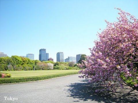 【Japonca dersi-5】#japonca    #ders   #kolay   #karşılaştırma #eğitim   #sürdürülebilir   #ipuçları