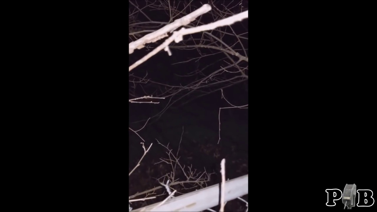 the "Scream Of The Skinwalker" video - YouTube