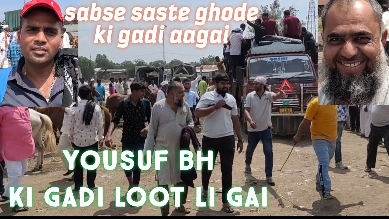 sabse saste ghode laye Yousuf bh Gujarat Wale | lut gai gadi dussehra ...