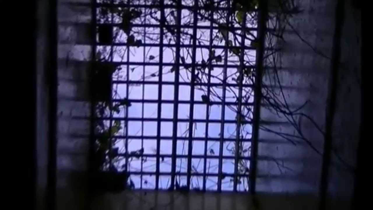 Freedom - Non Narrative Short Film - YouTube