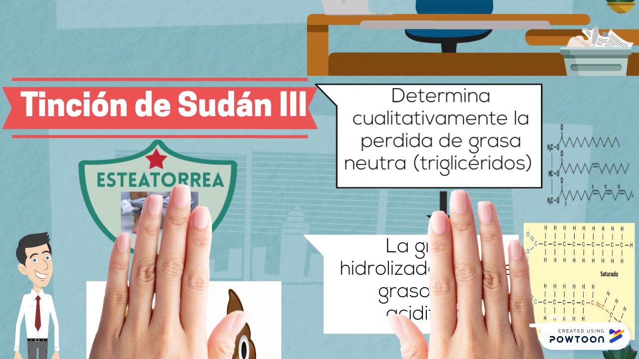 Pruebas esteatorrea - YouTube