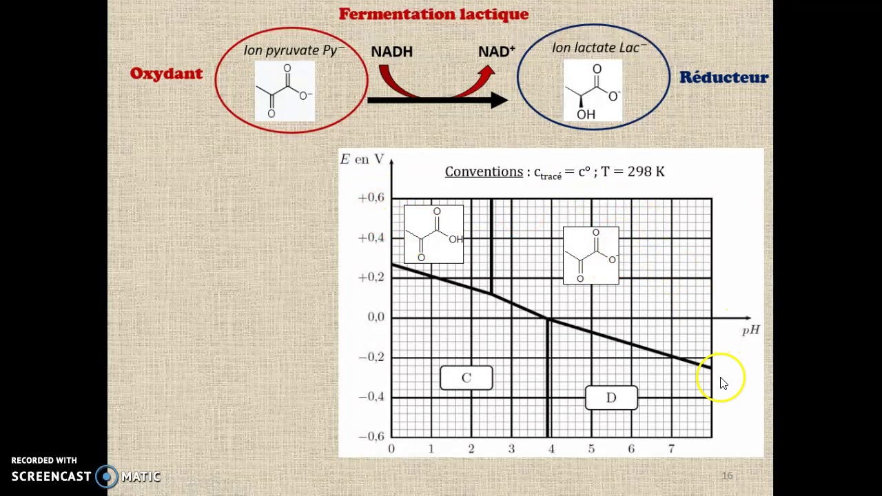 Fermentation lactique : utilisation des diagrammes E/pH - YouTube