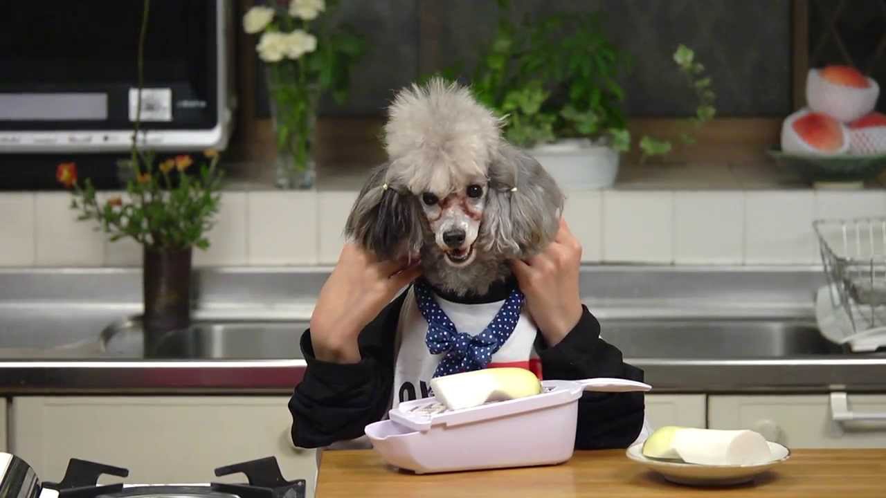 #AsiaEats Soup | Cooking with Dog (Japan) - YouTube