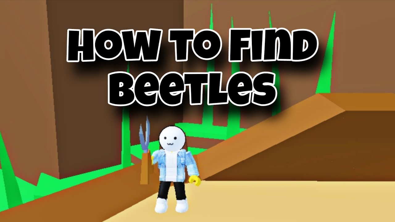 How to Find Beetles in Ants Empire Roblox | beetles - YouTube