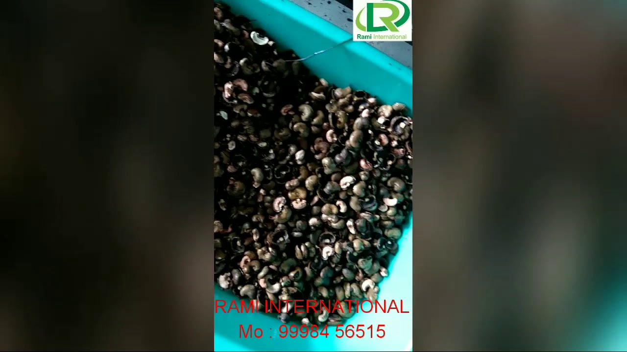 automatic cashew cutting machine by rami international (mo : 99984 ...