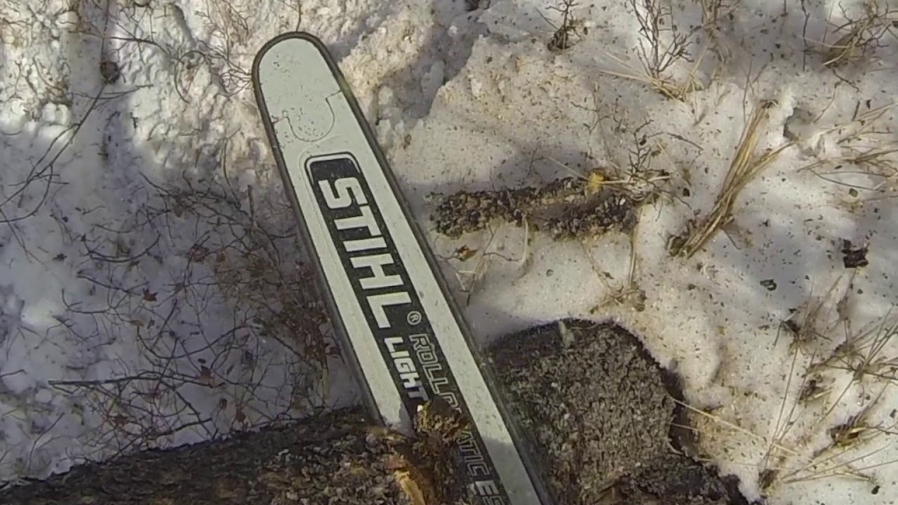 Tree Felling 12-2019 with a Stihl 362 R C-M - YouTube