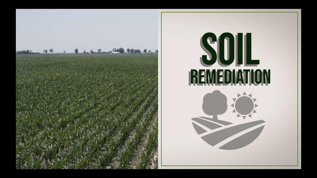 Soil remediation - YouTube