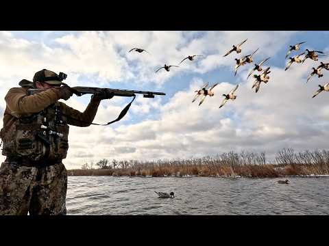 Solo Duck Hunting A 15 Yard Wide Creek (Limited Out)
