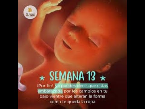 Explorando la Semana 13 de Embarazo. - YouTube