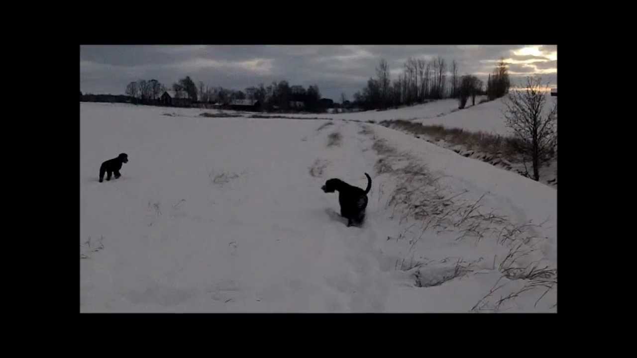 Vinter - YouTube