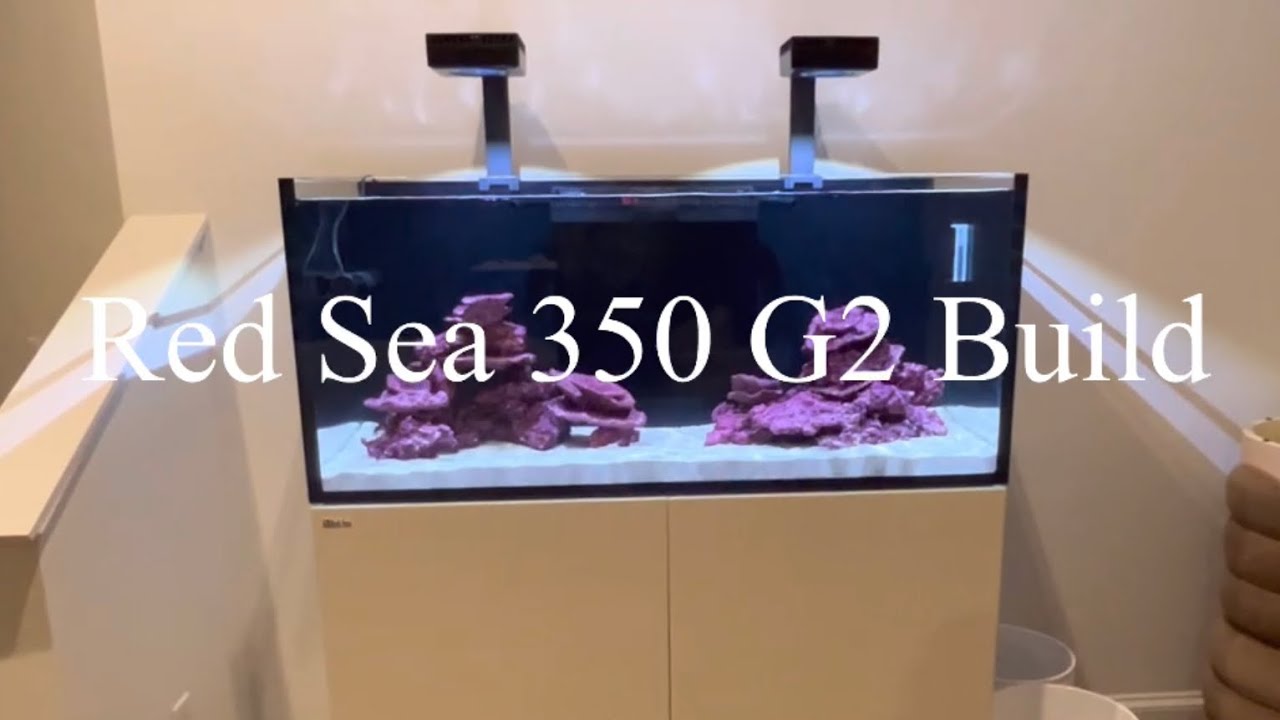 Red Sea Reefer 350 G2 Tank Build - YouTube