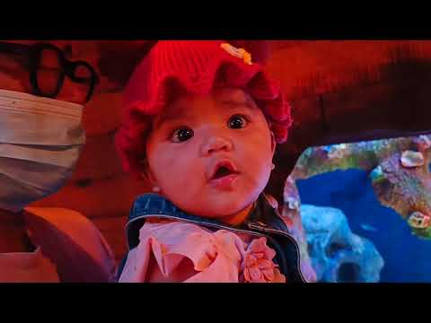 I wear a bunny suit.  I am also good at swimming.