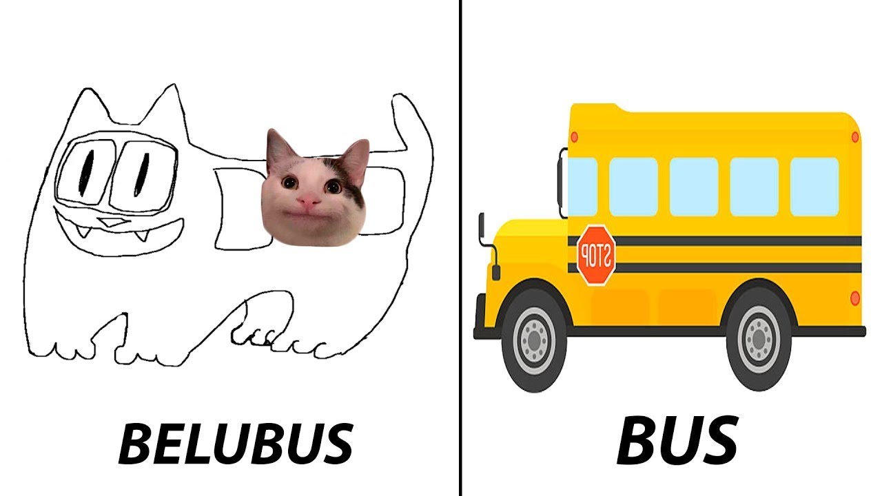 Learn english words with ABC CAT - YouTube