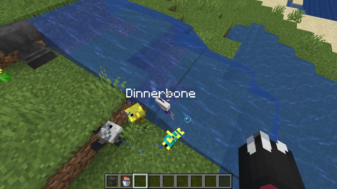 Dinnerbone fish in minecraft. - YouTube