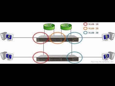 BEGINNER DAY 82 | VLAN | SWITCH VLAN CONFIGURATION - YouTube