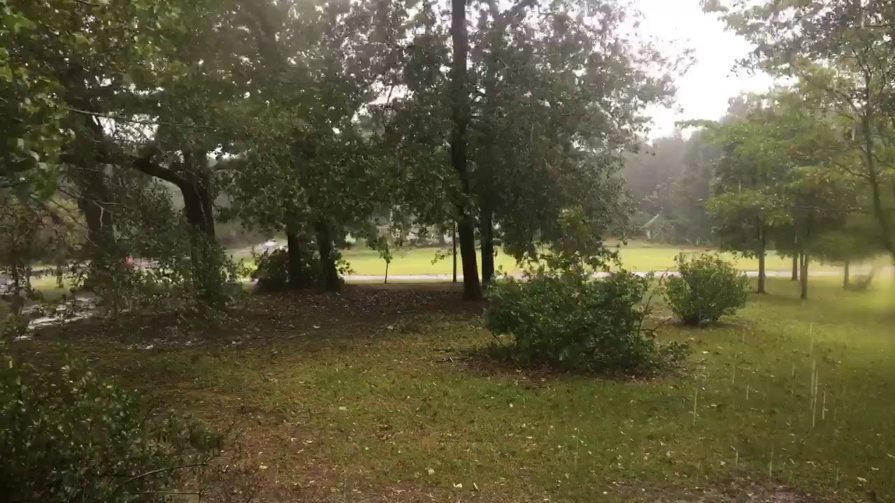 23 mph winds North Georgia - Hurricane Irma - YouTube