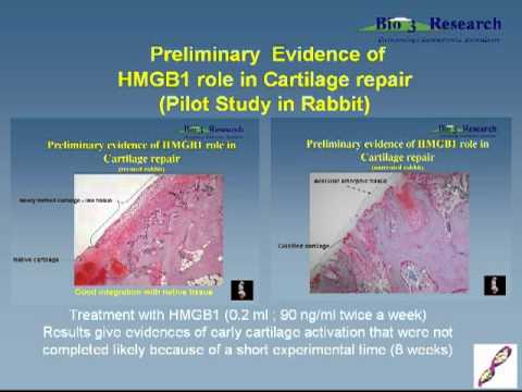 Bio3 Research Presentation.avi - YouTube
