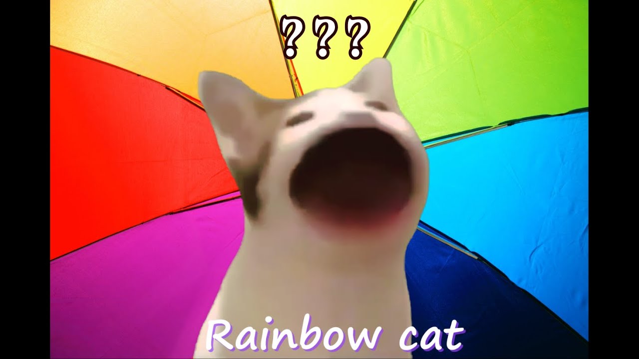 4 "Pop Cat" Sound Variations - YouTube