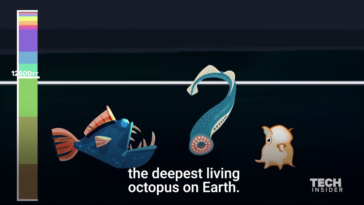 This Incredible Animation Shows How Deep The Ocean Really Is - YouTube