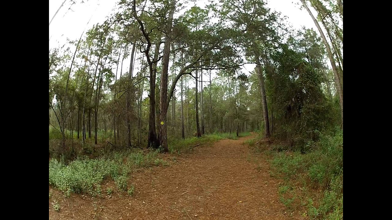 Hiking in Caravelle Ranch Wildlife Management Area - YouTube