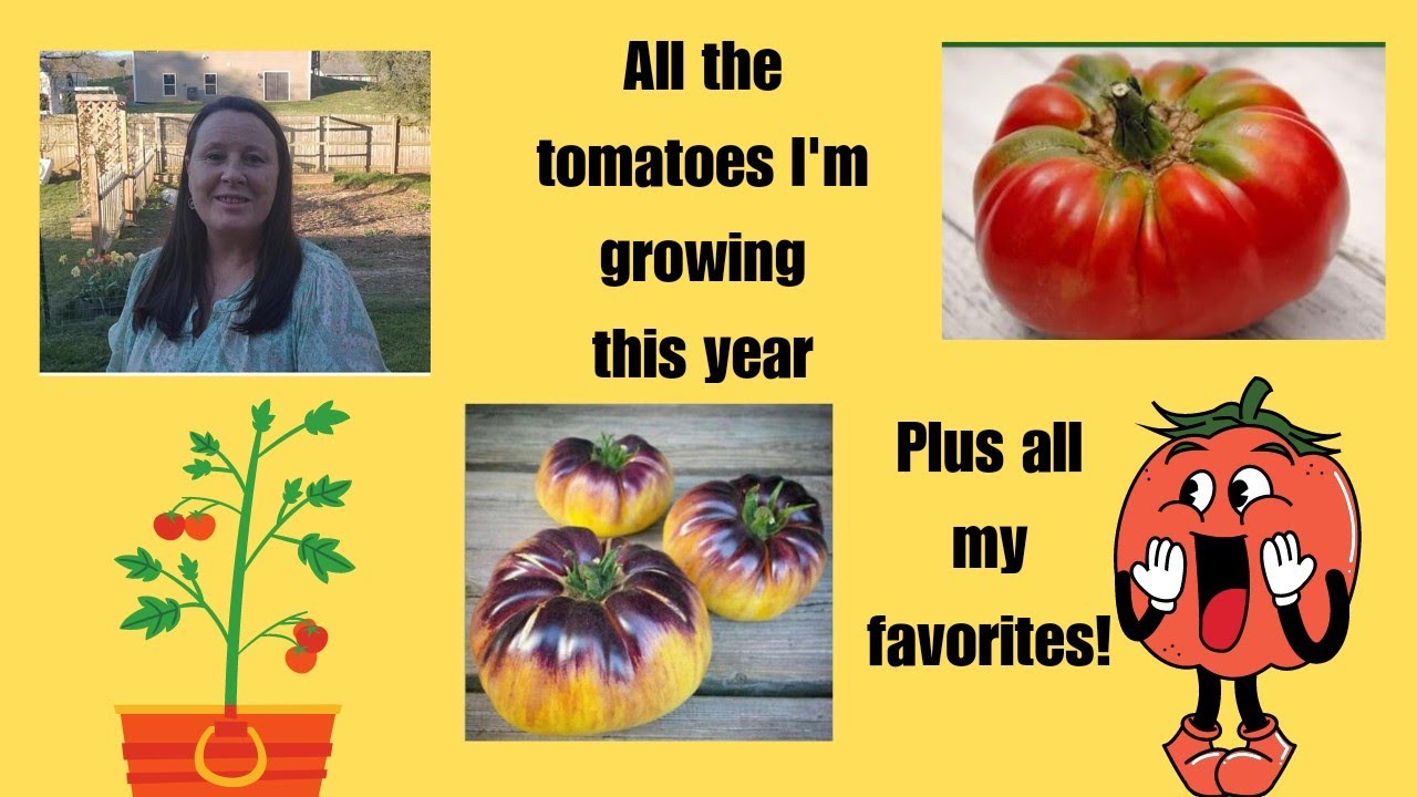 All the tomatoes I'm growing this year, with description. # ...