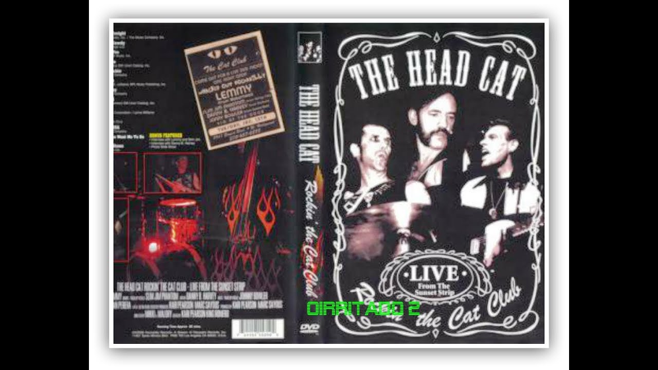 The Head Cat Rockin' the Cat Club |Full Concert | - YouTube