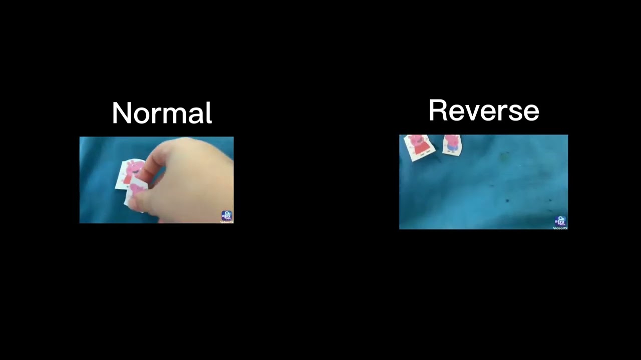 PEPPA pig intro normal and reverse - YouTube