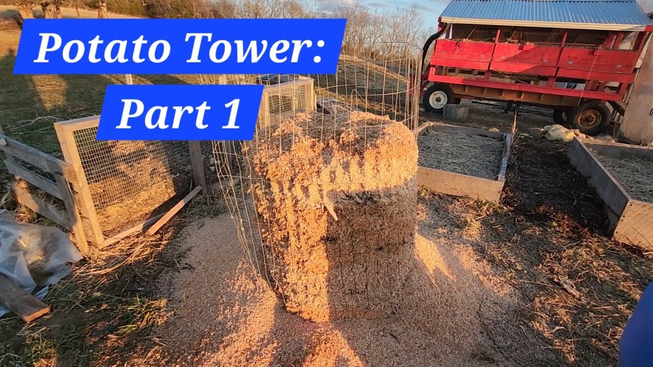 Potato Tower: Part 1 - Creating a New (To Us) Way of Growing this ...