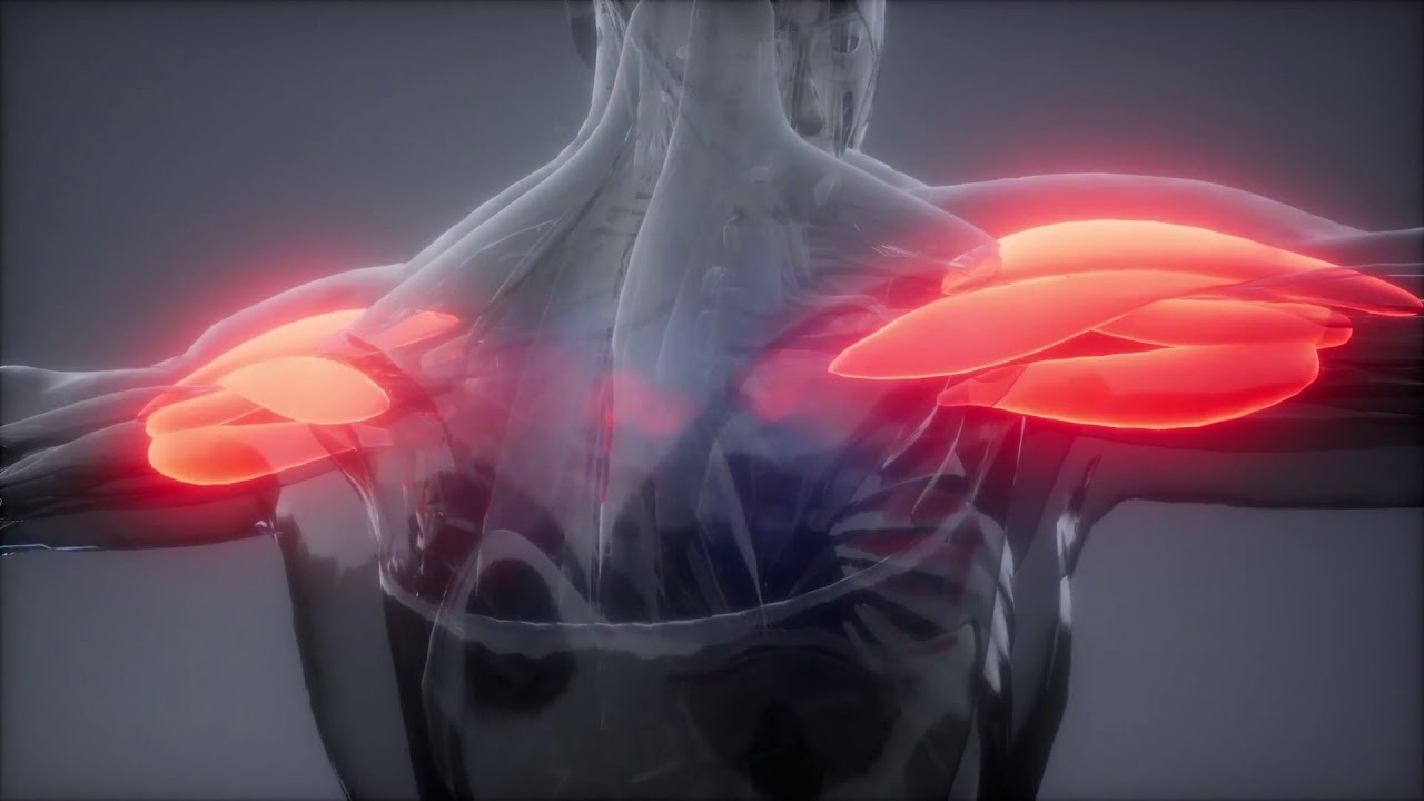 Optimum Body Sports Massage Promo Video - YouTube