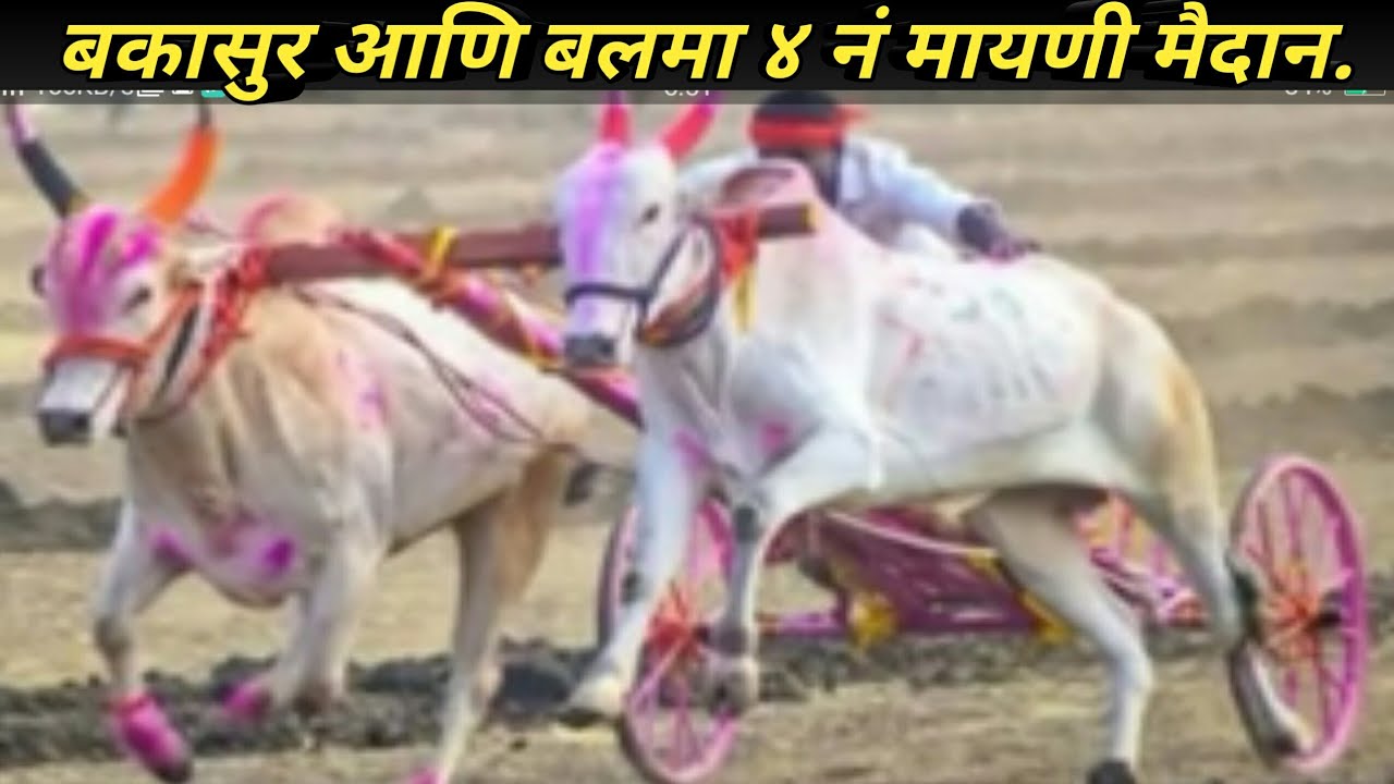 How to Bailgada sharyat live ll Bakasur bailgada Sharyat ll Bailgada ...