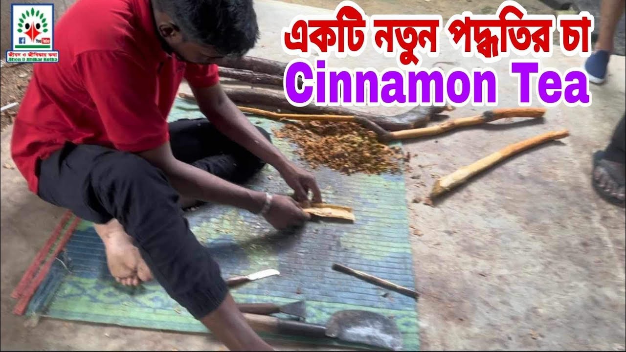 নতুন পদ্ধতির চা | Cinnamon Tea | Jibon O Jibikar Kotha - YouTube