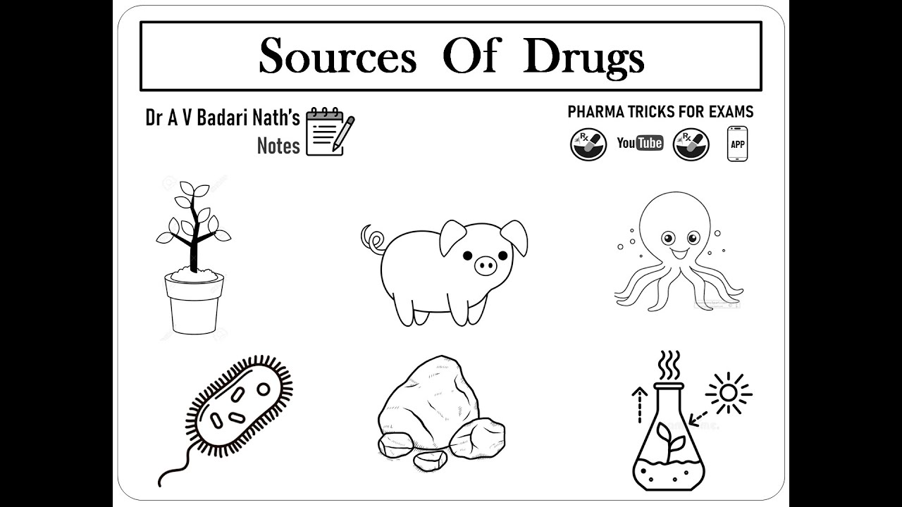 Sources of Drugs (Sources of Natural Drugs) - YouTube