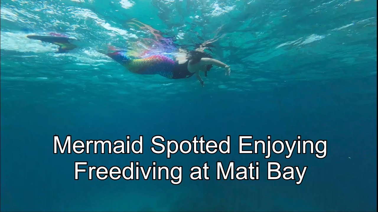 Mermaid Spotted at Pujada Bay, Mati, Davao Oriental - YouTube