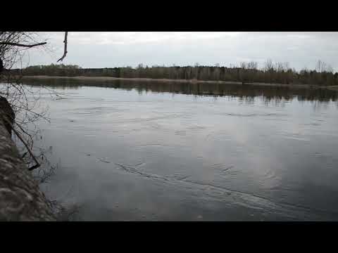 Chernobyl exclusion zone  Pripyat river in the city of Chernobyl