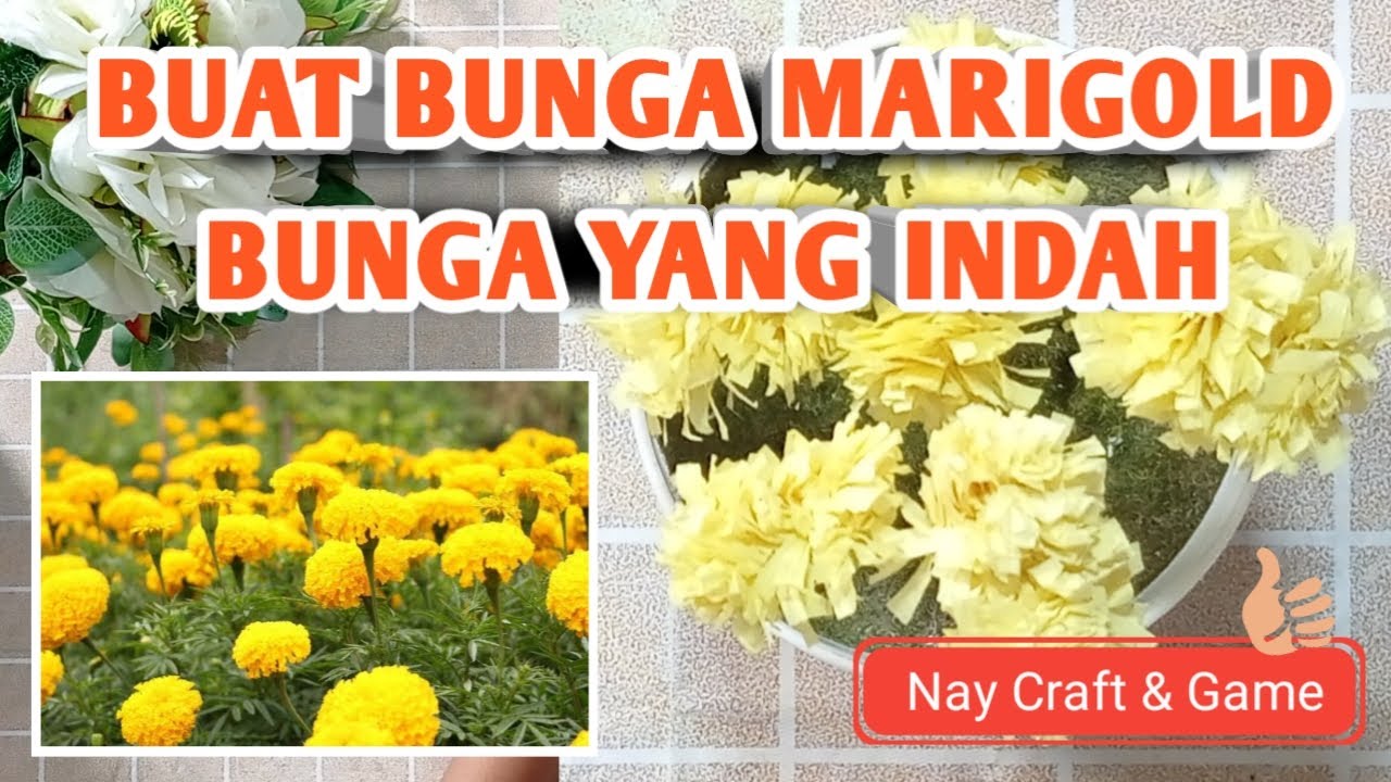 CARA MEMBUAT BUNGA MARIGOLD - EASY TO MAKE PAPER MARIGOLD || DIY PAPER ...