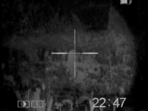 Pulsar Digisight N550 Long Range Night operation with onboard IR - YouTube