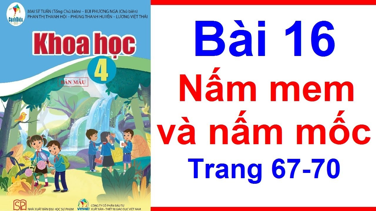 Khoa Học Lớp 4 Bài 16 | Nấm Men Và Nấm Mốc | Trang 67 – 70 | Sách Cánh ...