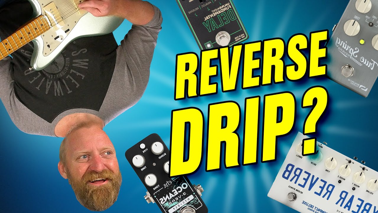 REVERSE DRIP? - spring reverb backwards is "brever gnirps" - YouTube