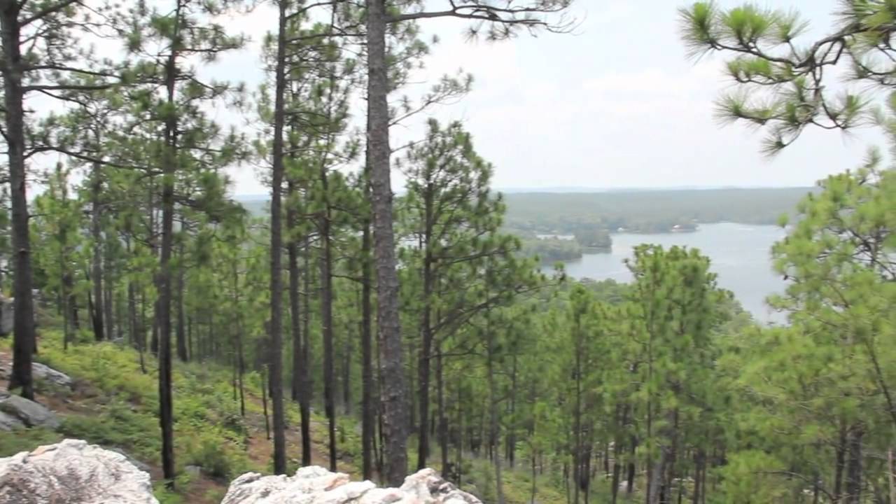 Smith Mountain Fire Tower on Lake Martin - YouTube