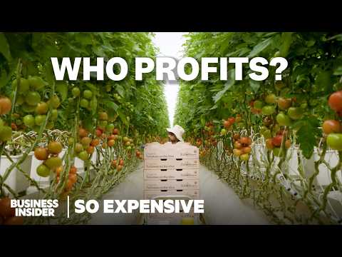 Should Organic Food Be So Expensive?
