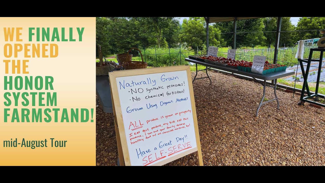 We FINALLY Opened Our Honor System Farmstand! - YouTube