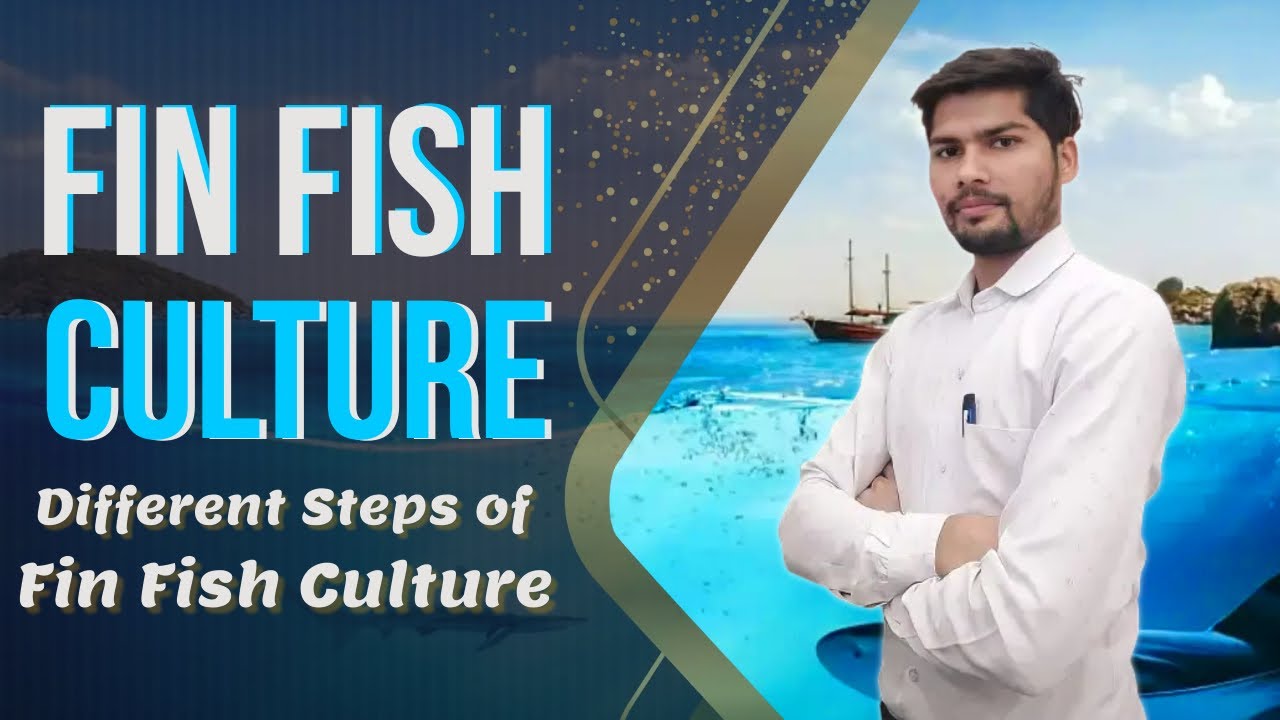 Fin Fish Culture | Different Steps for Fin Fish Culture | Fish Culture ...