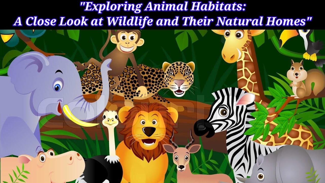 "Exploring Animal Habitats: A Close Look at Wildlife and Their Natural ...