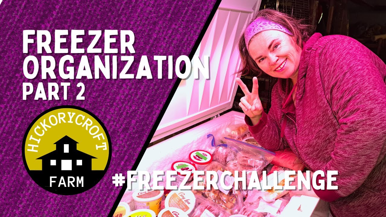 FREEZER CHALLENGE: Organizing Our Freezers Before The Pantry Challenge ...
