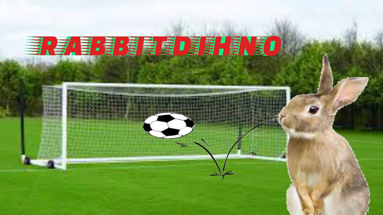 RABBIT MASCOT SOCCER!!! | Soccer Balls 2: The Level Pack - YouTube