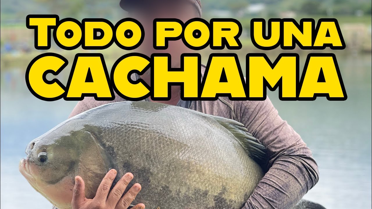 ¿Necesitas que edite tu Video de Aventuras? CACHAMA Fishing in Hato ...