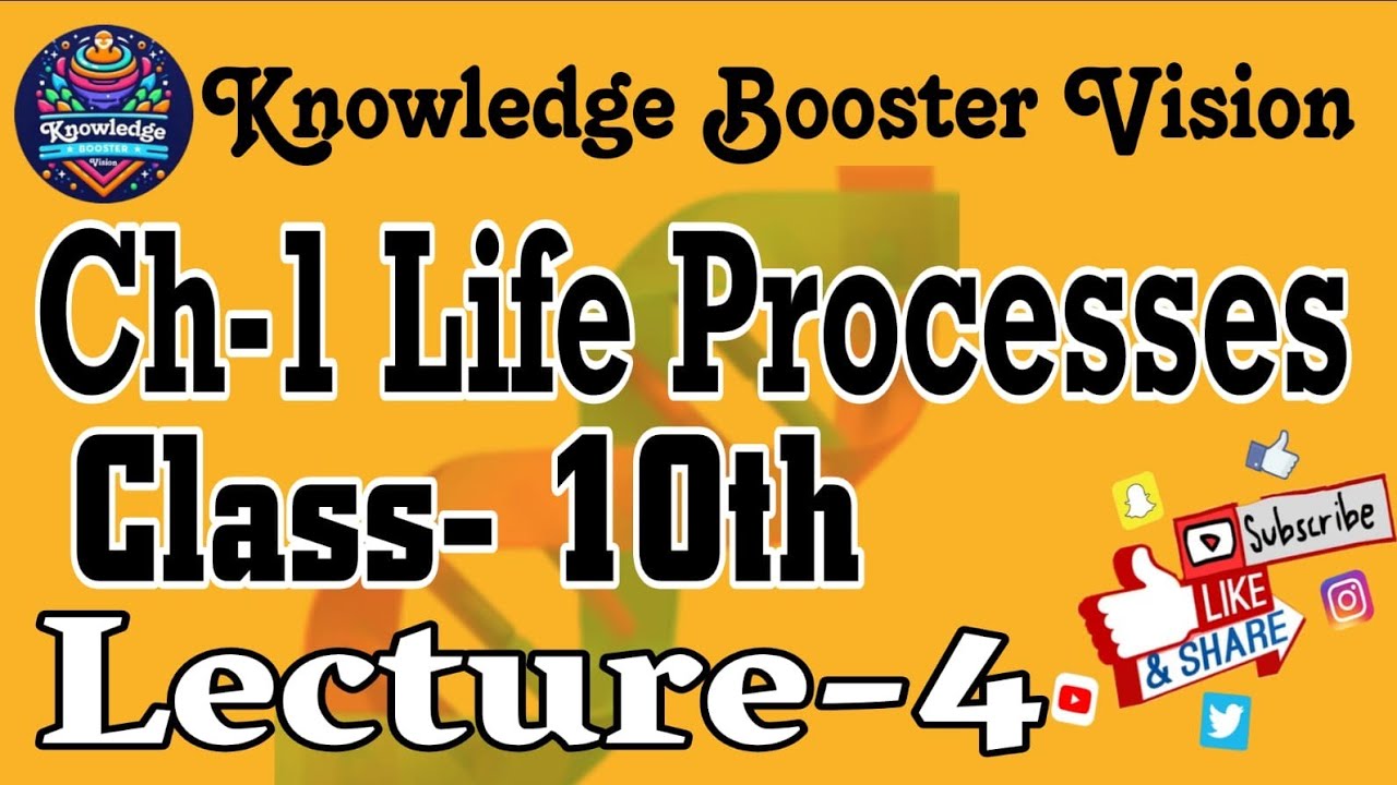 LIFE PROCESS || CHAPTER 1 || LECTURE 4 || CLASS 10TH || BIOLOGY ...