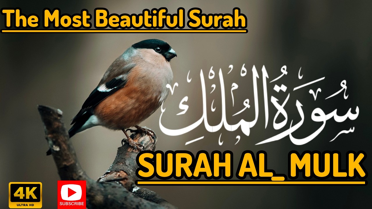 Surah AL_Mulk ( The Sovereignty) Full With Translation | Surat Mulk ...